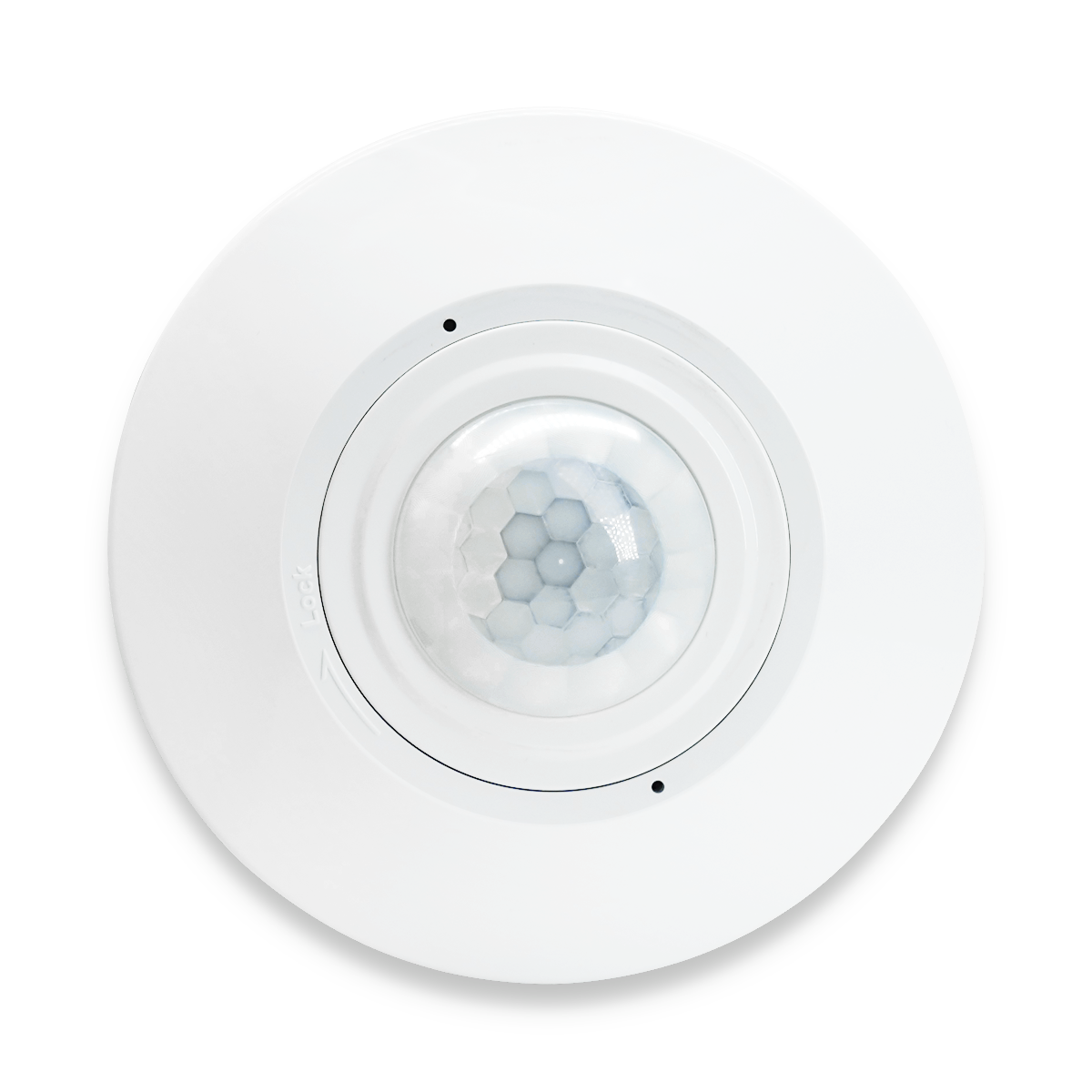 Glossary of Terms - Rayzeek